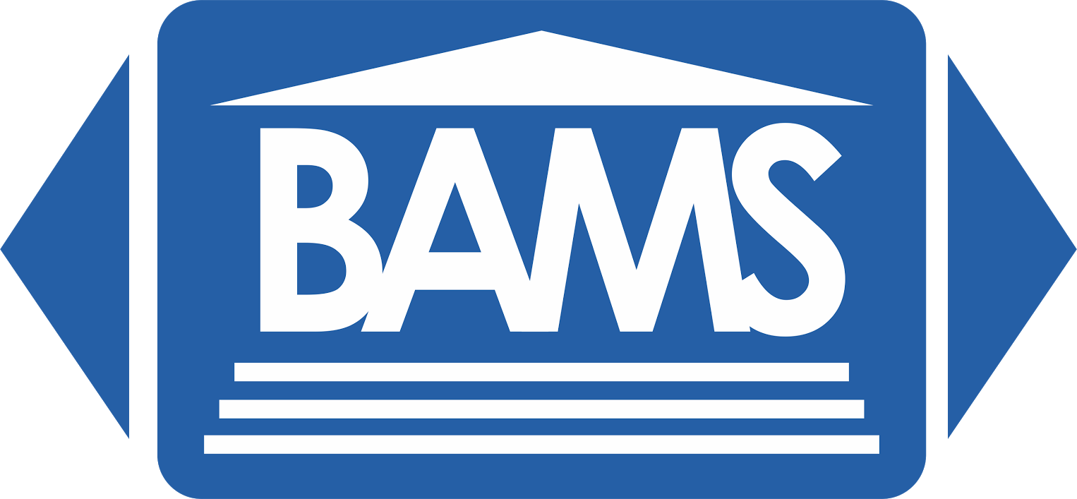 Payment Gateway Solutions | Secure & Scalable with BAMS