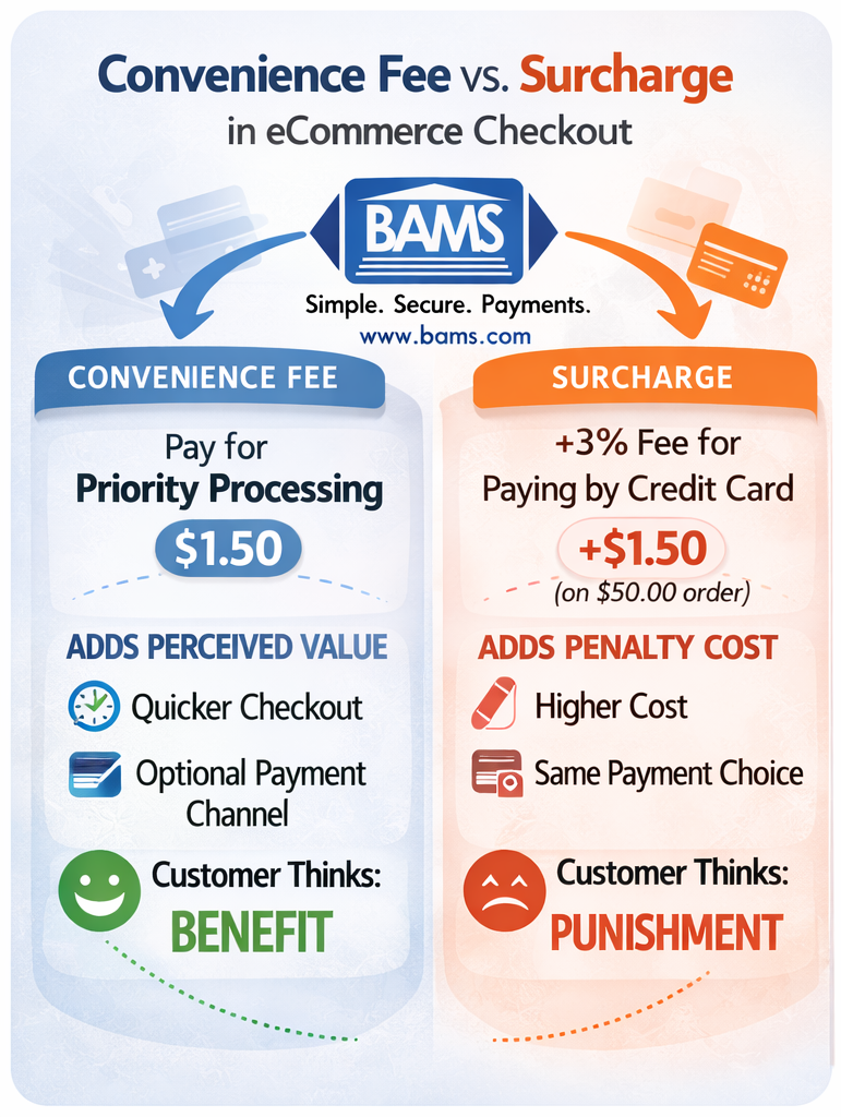 Understanding Convenience Fees vs Surcharges for eCommerce Success